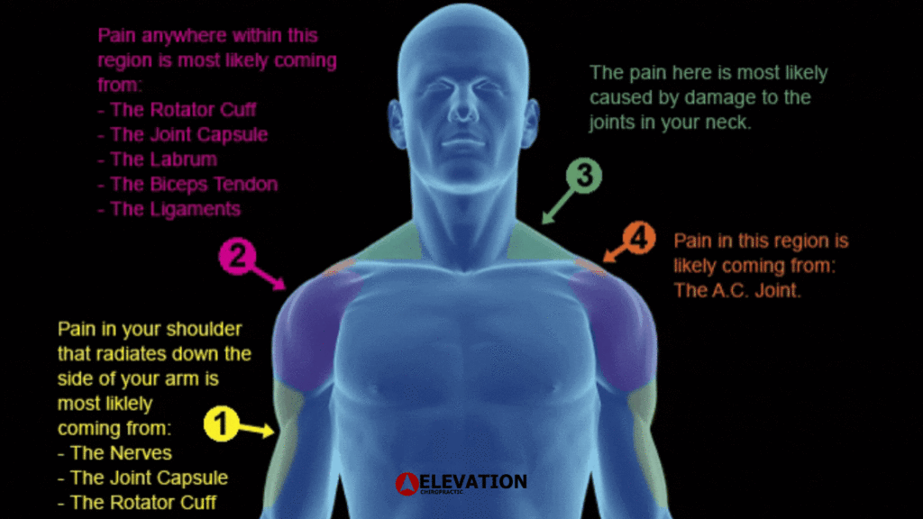 Rowlett Chiropractor for Shoulder Pain and Overall Health Treatment